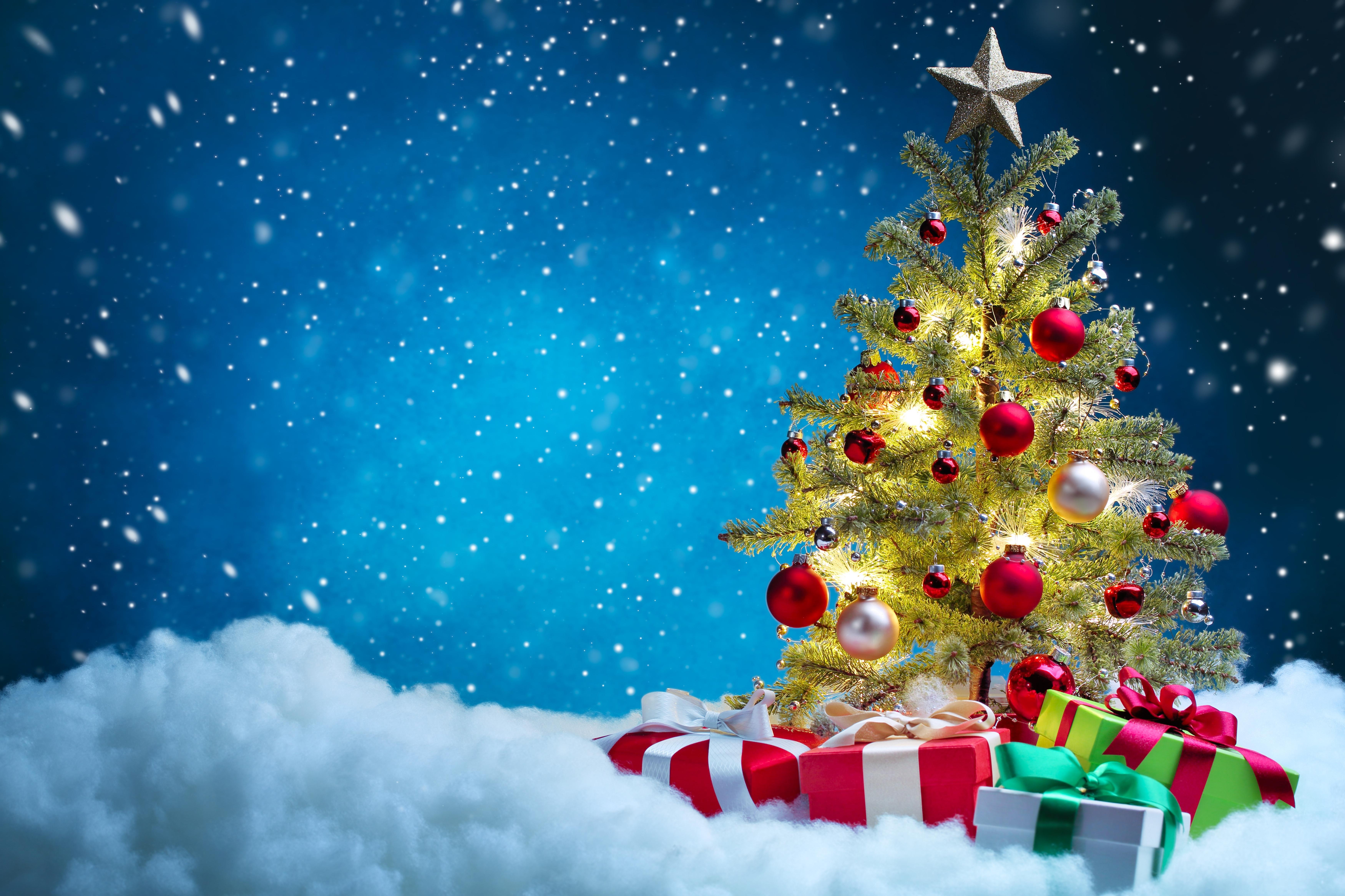 Christmas Tree Photos Christmas Tree Photos
