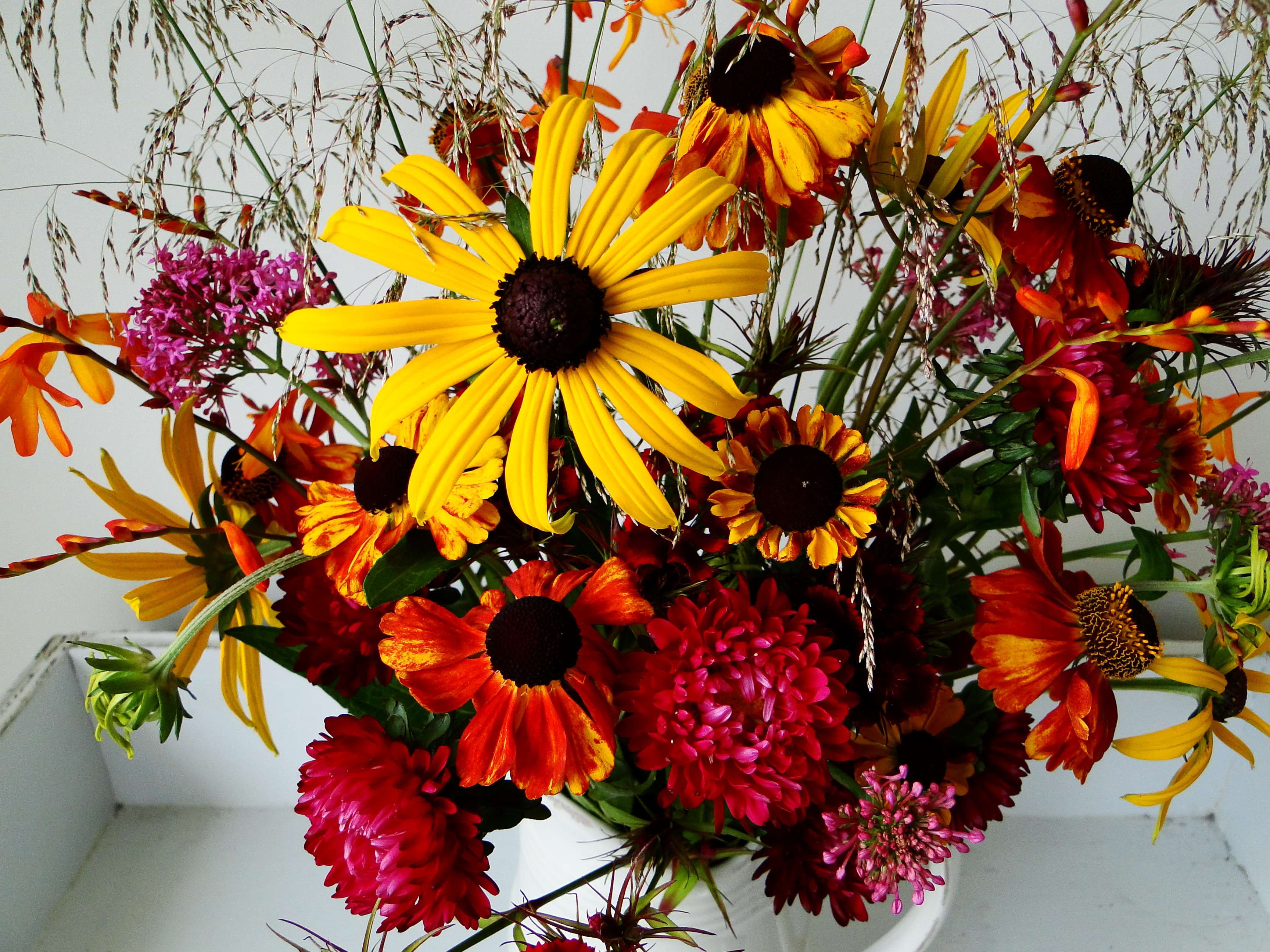 Autumn Flower Wallpapers Images Photos Pictures Backgrounds